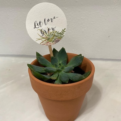 Watch Me Grow Favor Tags Sticks, Let Love Grow, Custom Tags, Reception ...