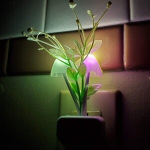Small Nature Spirit Shelf With Live Edge | Etsy