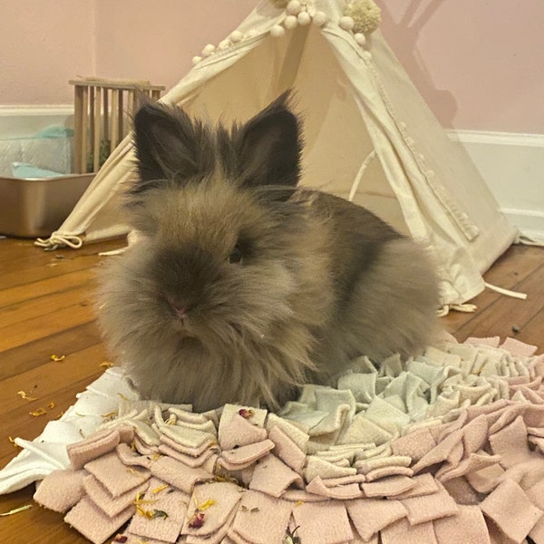 Original Heart Forager Snuffle Mat & Aesthetic Fleece Slow Feeder ...