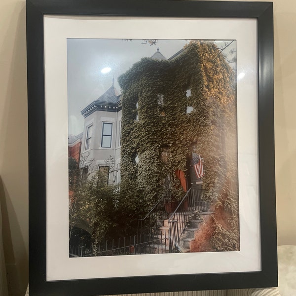 Ivy Covered DC Row House - Etsy
