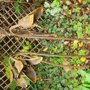 Rustic Rusty Metal Fern Leaf Sculpture Art Flower Garden - Etsy