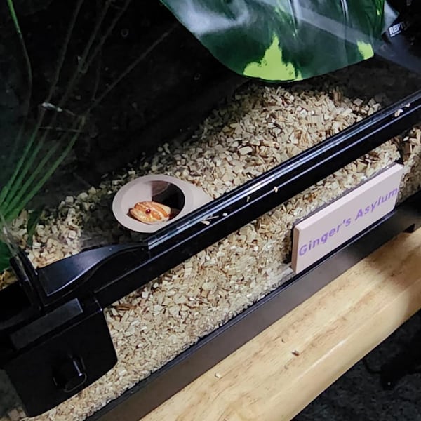 XL Hoggy Hide. Burrow Hide. Snake Hide for Western Hognose, Colubrids ...