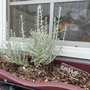 Personalized Acrylic Garden Sign Flower Pot Message Sticks | Etsy