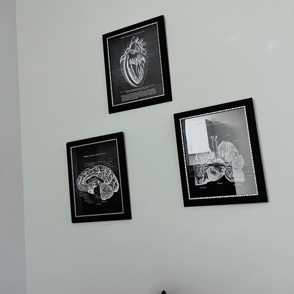 Human Eye Anatomy Art Prints Set of 3 Unframed Decor Gift for ...