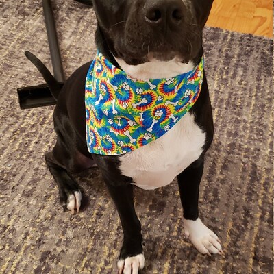 Skull Candle Occult Toad Raven Skull Skeleton Key Print Incense Bag ...