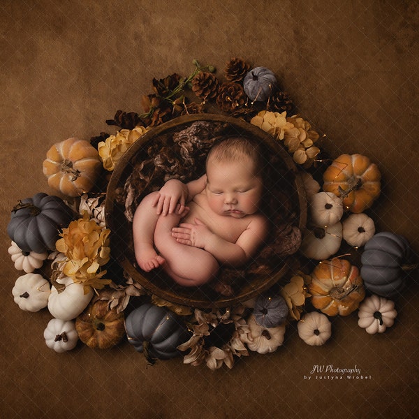 Fall Digital Backdrop, Newborn Baby Digital Backdrops, Digital ...