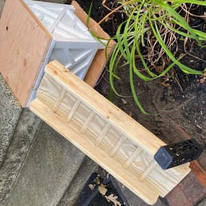 INDOOR Guinea Pig Ramp Rabbit Ramp Hedgehog Ramp With Sides - Etsy