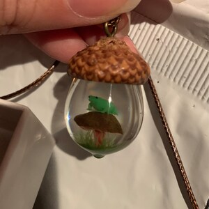 Acorn Necklace With Mushroom Frog Resin Jewelry Acorn - Etsy Australia