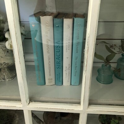 Bundle of Turqoise Decorative Books Books for Staging - Etsy