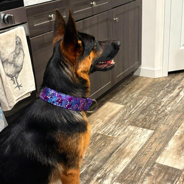 Martingale Collar, Dog Collar, Sighthound Collar, Galgo Collar ...