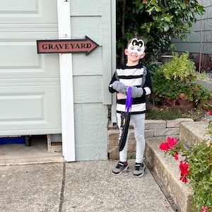 Cartoon Classics Animal Masks Road Runner Bird Sneaky Coyote Tasmanian ...