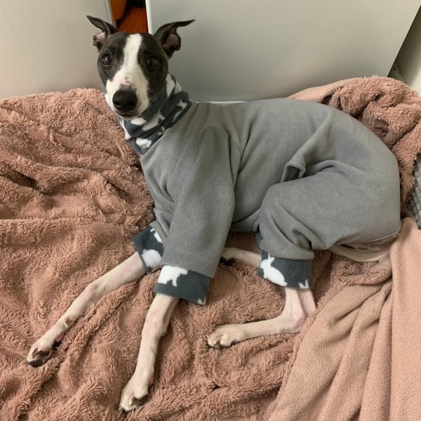 Greyhound Pyjamas, Greyhound Clothing, Greyhound, Dog Pyjamas, Whippet ...