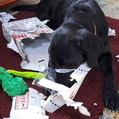 Scottish Tunnocks Sweet Treat Chocolate Hamper - Etsy UK