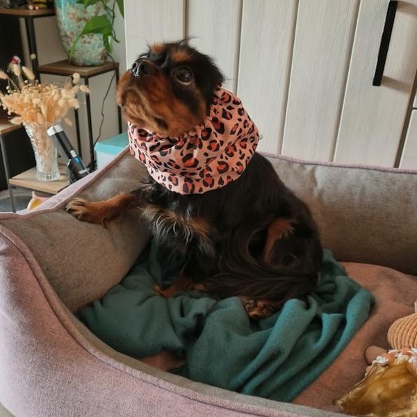 Waterproof Dog Snood | Cocker Spaniel Snood | Basset Hound Snood ...