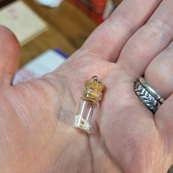 Porcupine Quills in a Vial/125 Pack/curio Vial/glass Vial/mystery Box ...