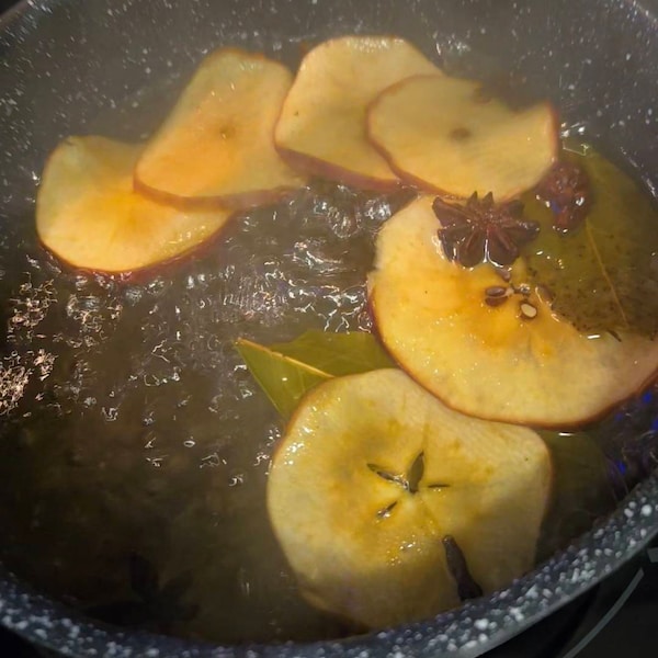 Apple & Spice Simmering Stovetop Potpourri Fall Simmer Pot - Etsy