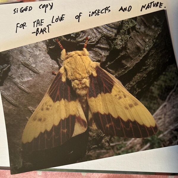 Wall Calendar (2025) - Moth & Butterfly: by Bart Coppens (EU, Asia ...