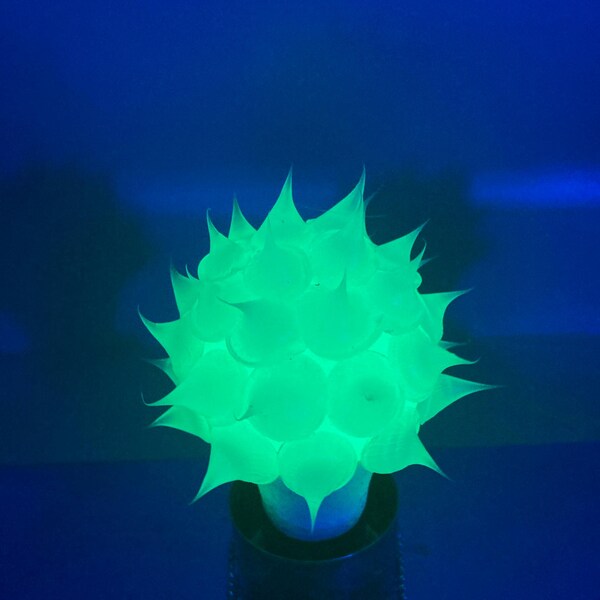 Wally Ubo Night Lite. Light & Sound Sensor - Etsy