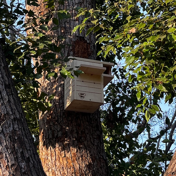 Durable Gray Squirrel Nesting Box – Wildlife Rehab Approved-predator ...