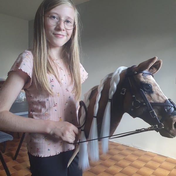 Realistic Hobby Horse, Handmade Stick Horse Toy, Custom Horse Gift ...