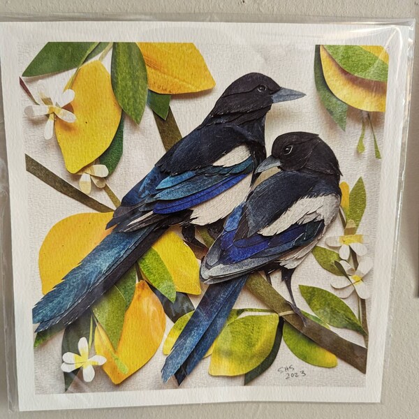 Original Framed Paper Mockingbird /original Bird Art - Etsy