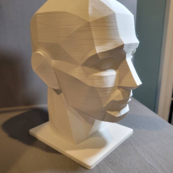 7" 17.78 Cm Planar Head, Planar Bust, Learn the Planes of the Head ...