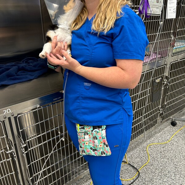 Mini Vet Tech RN Scrub Pocket Nurse Organizer Zipper Pouch Without Belt ...