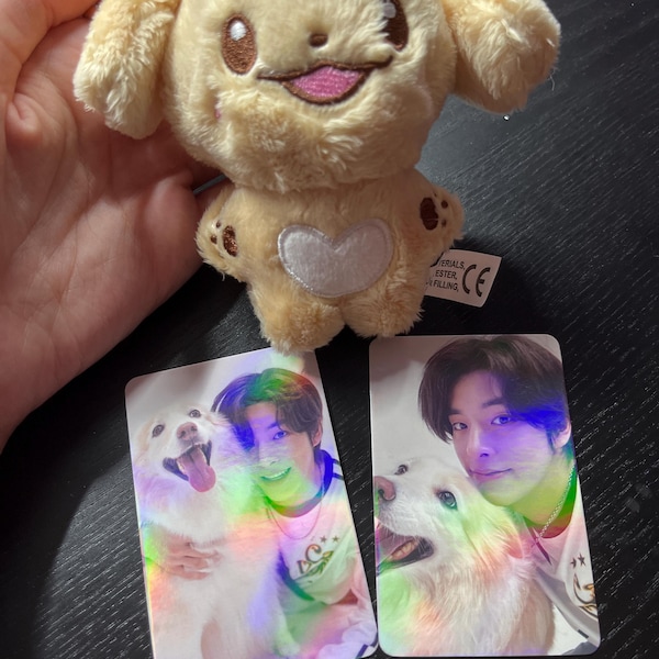 Enhypen En-dolls | Animal Fanmade Plushie | Jungwon | Heeseung | Jake ...