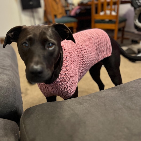 Cora Dog Sweater Crochet Pattern - Beginner Friendly Pattern in 7 Sizes ...