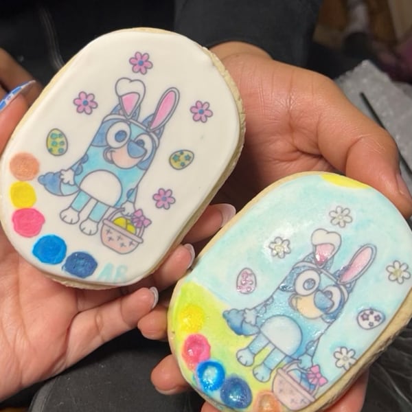 PYO (paint Your Own) Cookies for Kids - Etsy