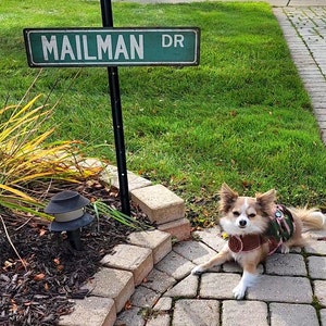 Game Warden Sign, Park Ranger Street Sign, Office Decor, Retirement ...