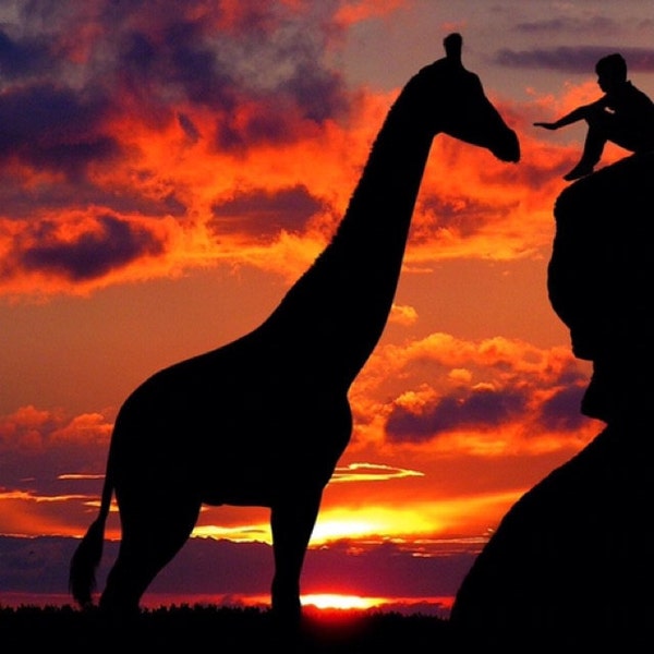 13 Box Photography Template, Collage for in the Box Photography, Inside ...