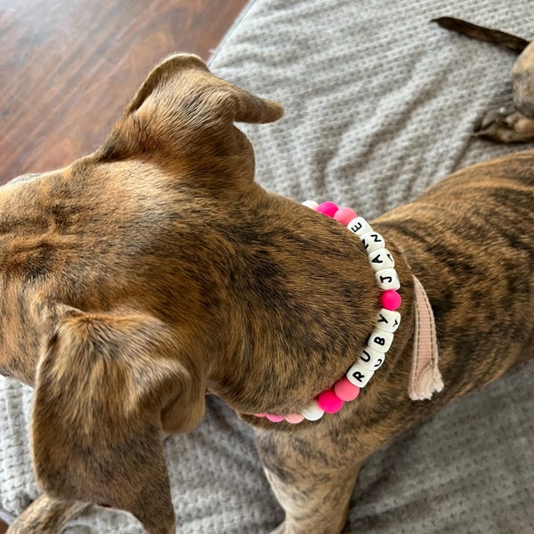 Name Beaded Dog Collar, Fancy Cat Necklace, Waterproof Dog Collar ...