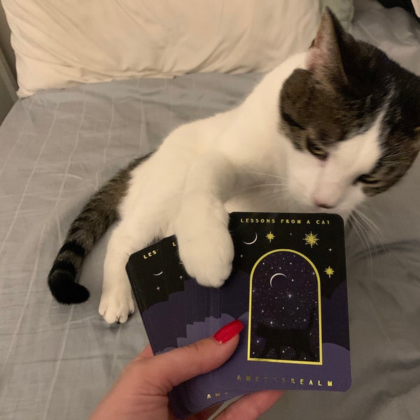 Cosmic Cards // Self Reflection Deck - Etsy