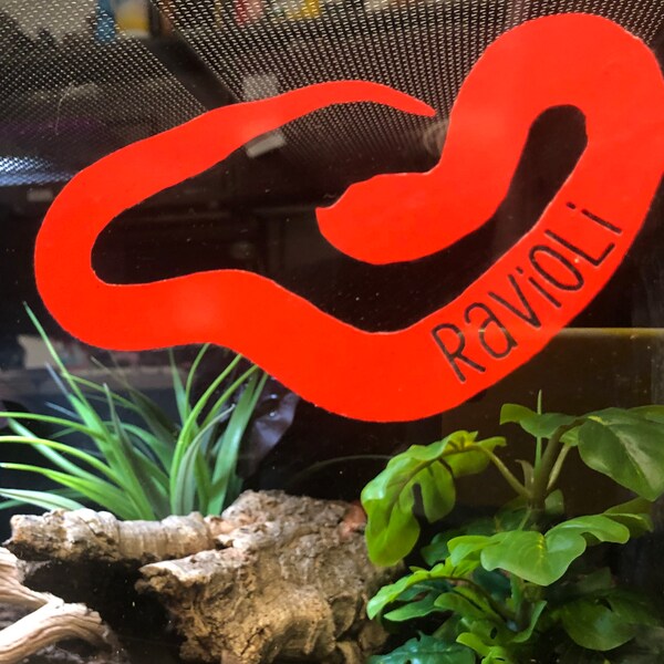 Customizable Name Hognose Snake Vinyl Decal (READ DESCRIPTION) - Etsy