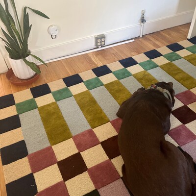 Tufted Avery Rug, Hand Made Rugs Carpets for Bedroom Living Room Hall ...