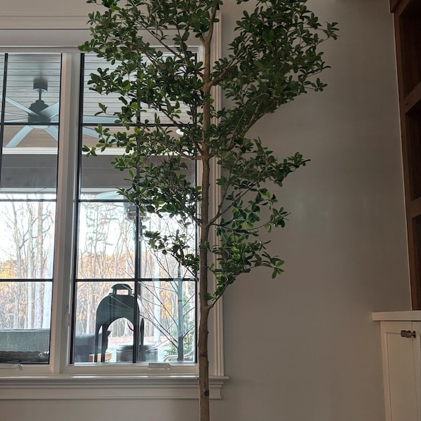 Faux Black Olive Tree, Shady Lady Tree, Black Olive Tree, Olive Tree - Etsy