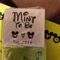 SET OF 60 Engage Mints Wedding Favors Life Savers Mints for Guest ...