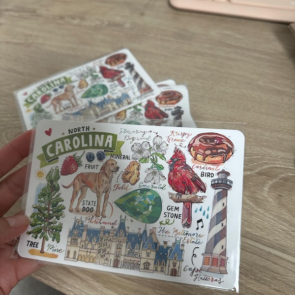 North Carolina State Postcard. - Etsy