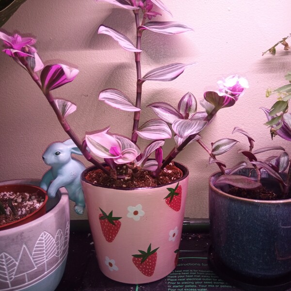 Spongebob Pineapple House Hand-painted Terracotta Pot|indoor Planter ...