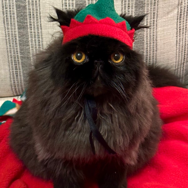 Elf Cat Hat. Christmas Cap for Cats and Kittens. Pet Photo Prop ...