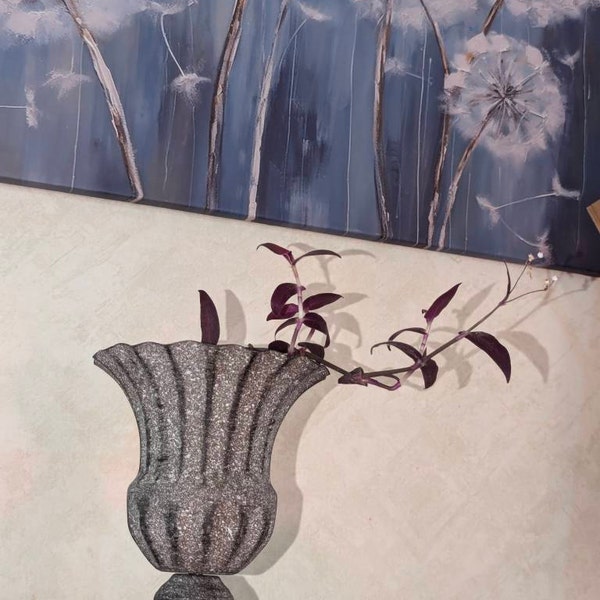 Jose Puig Tradescantia Gibasis - Etsy