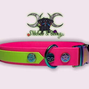 Standard 3/4 Beta Biothane, Webbing Strap, by the Foot, the Vegan ...