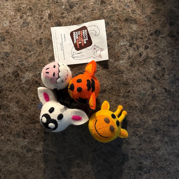 Tiger Coaster 100% Wool, Felted Coaster With Designs, Water Absorbent ...