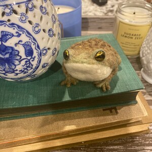 Needle Felted Green Frog Wool Sculpture Realistic Frog Art - Etsy