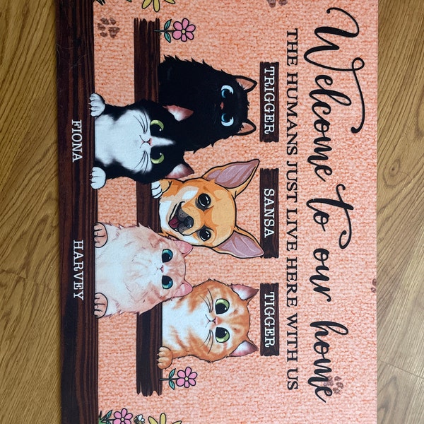 Personalized Dog Cat Doormat, Custom Pet Welcome Mat, Funny Dog Mat ...