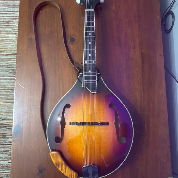 Premium Instrument Case Stand for Guitar, Violin, Mandolin, Banjo ...