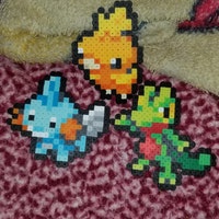 Gen 3 Hoenn Starters Treecko Grovyle Sceptile Torchic Combusken ...
