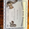 Personalized SQUIRREL University Certificate - Digital, Printed, or ...