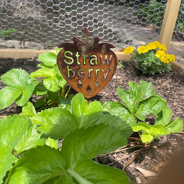 Cuts of Beef Rustic BBQ Cow Metal Farm Signs BEEF - Etsy